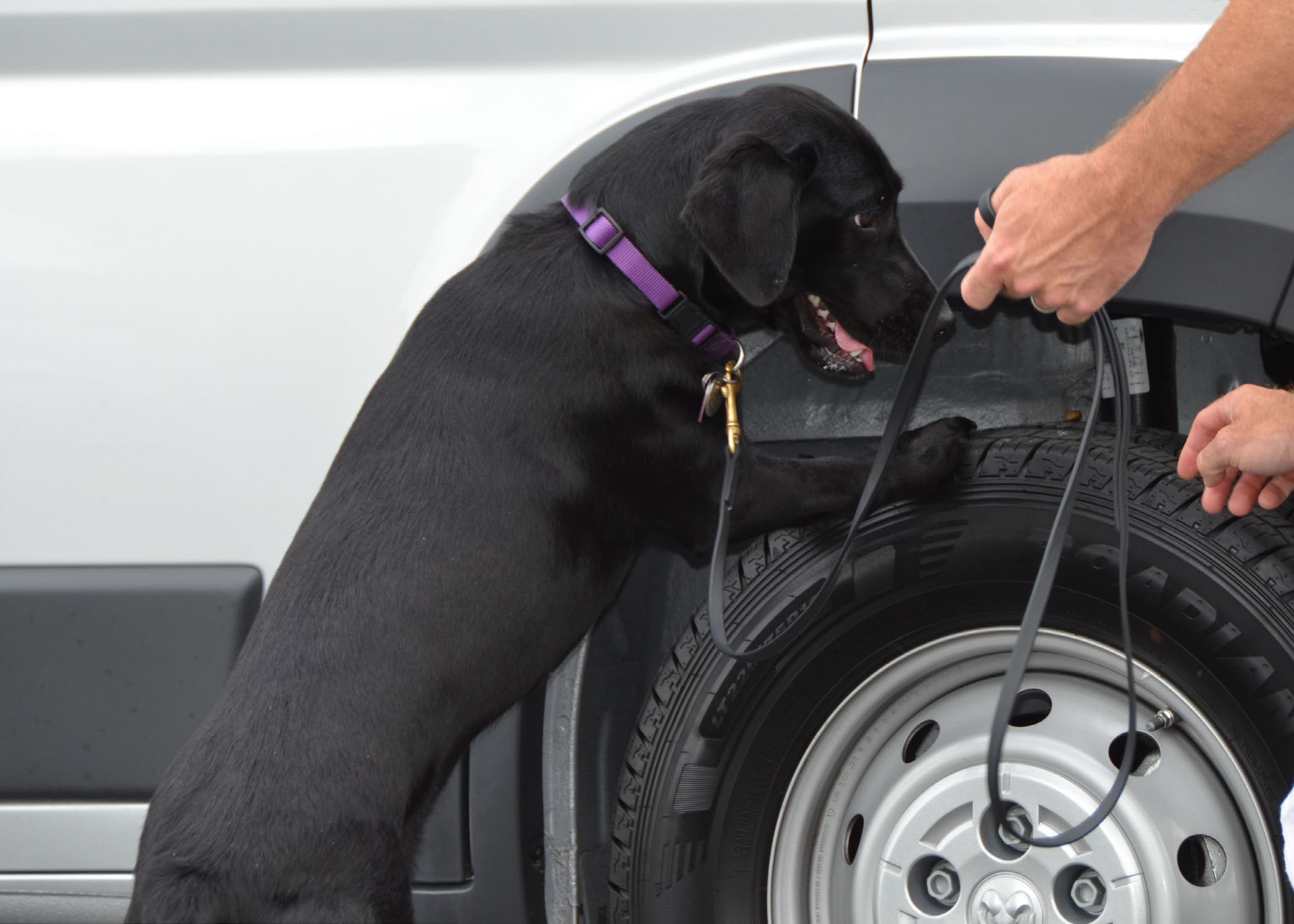 CIA launches official Tor site to communicate on dark web | FedScoop